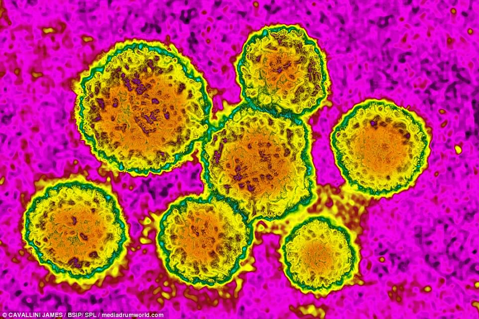 Imagens caleidoscópicas mostram de perto os vírus que se escondem ao ...