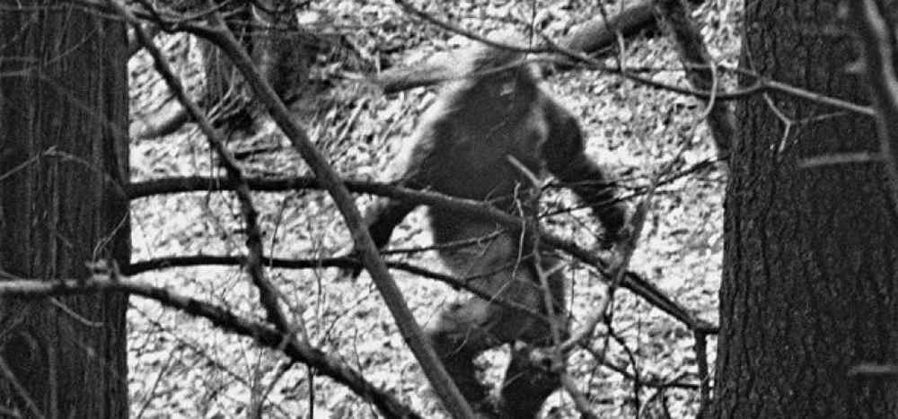 Finalmente chega ao fim o mistério que envolvia o famoso “Abominável ...