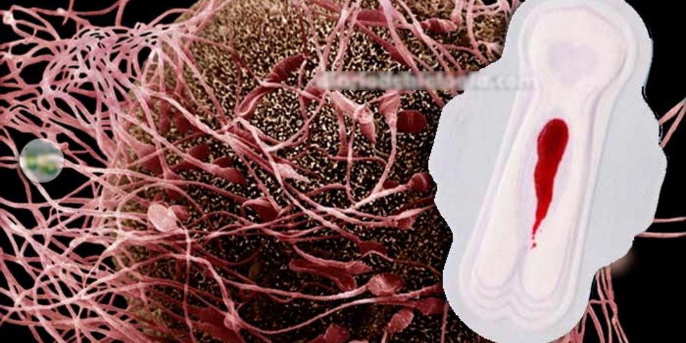 Uma mulher pode engravidar durante o período menstrual?