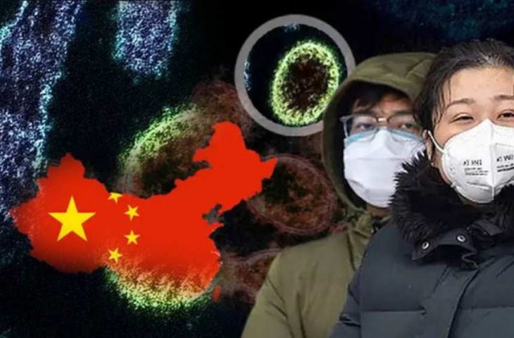 Inseto mais comprido do mundo é encontrado na China